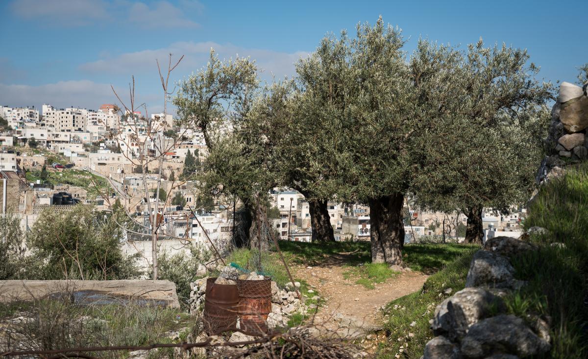 WCC: South Hebron Hills families share stories of life under occupation ...