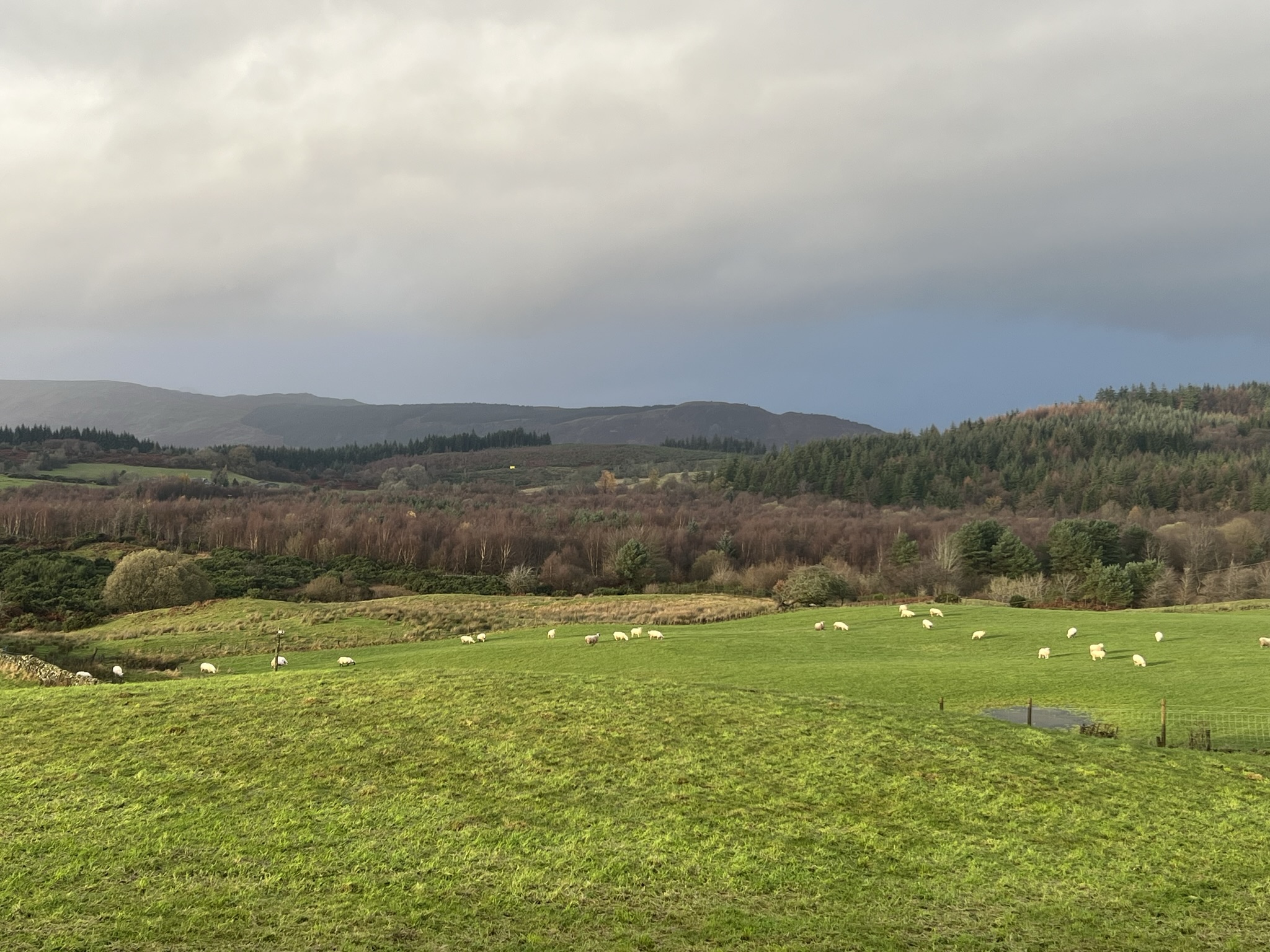 Pray with Scotland, January 22, 2023 - Global Ministries