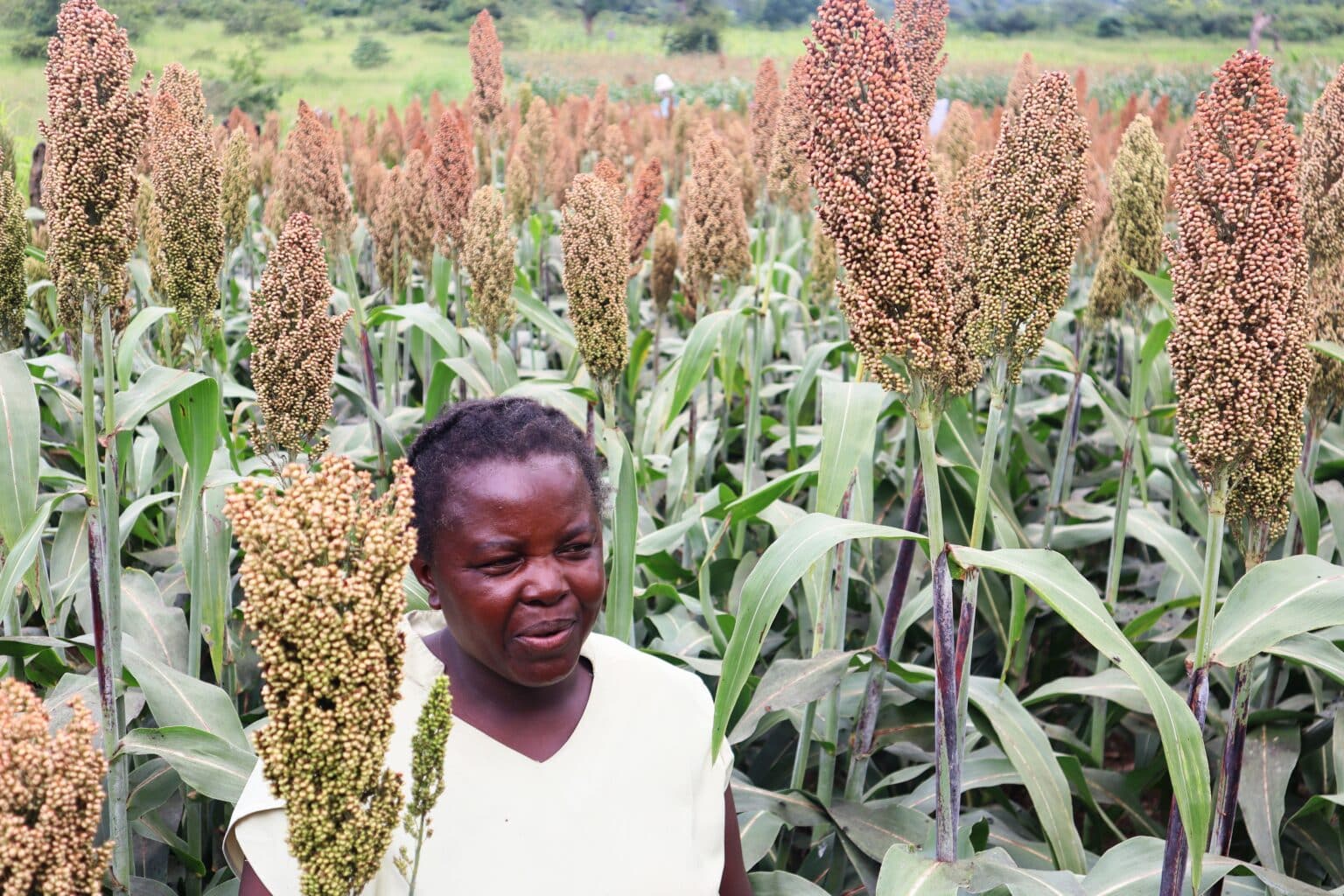 Pray with Zimbabwe, July 6, 2025 - Global Ministries