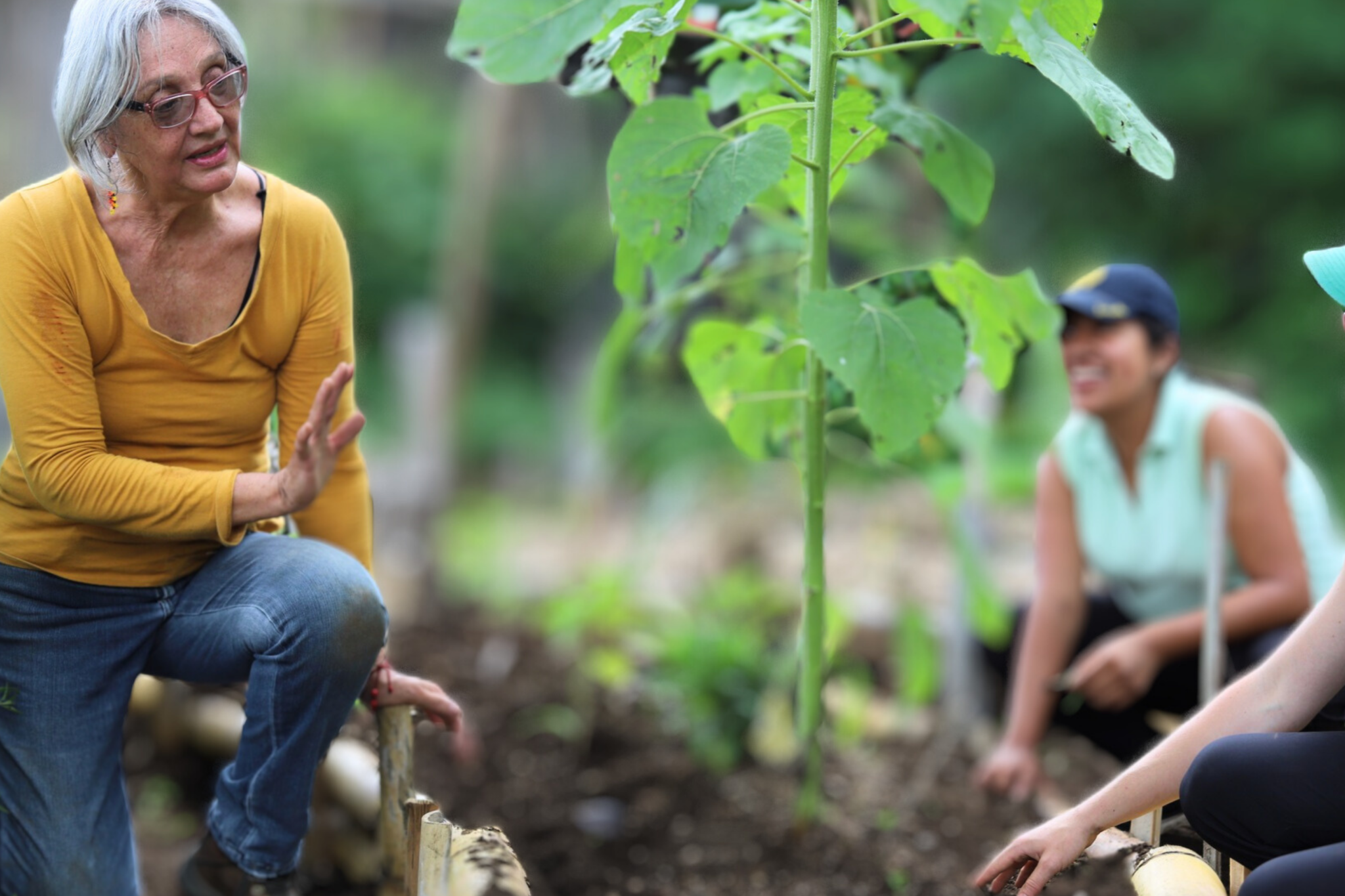 Pray with Costa Rica, October 5, 2025 - Global Ministries